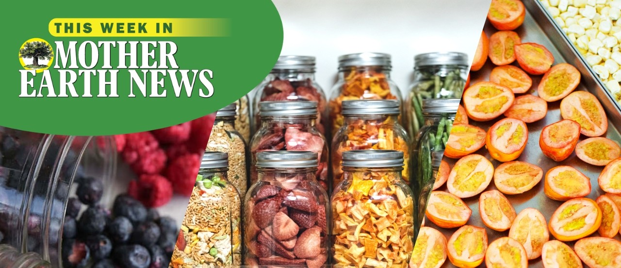 Food Preservation Week – Mother Earth News